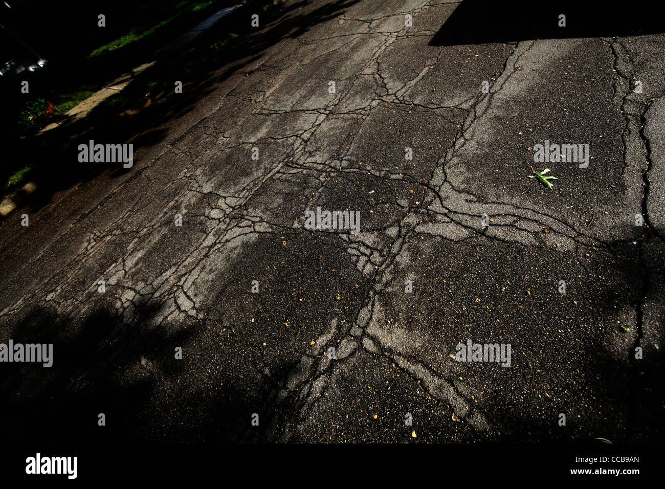 Weathered asphalt street surface, wet from rain, showing dry areas ...