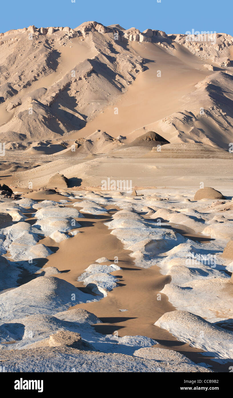 Vertical shot of white limestone intrusion on edge of yardang field ...
