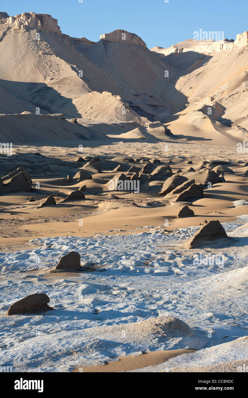 Vertical shot of white limestone intrusion on edge of yardang field ...