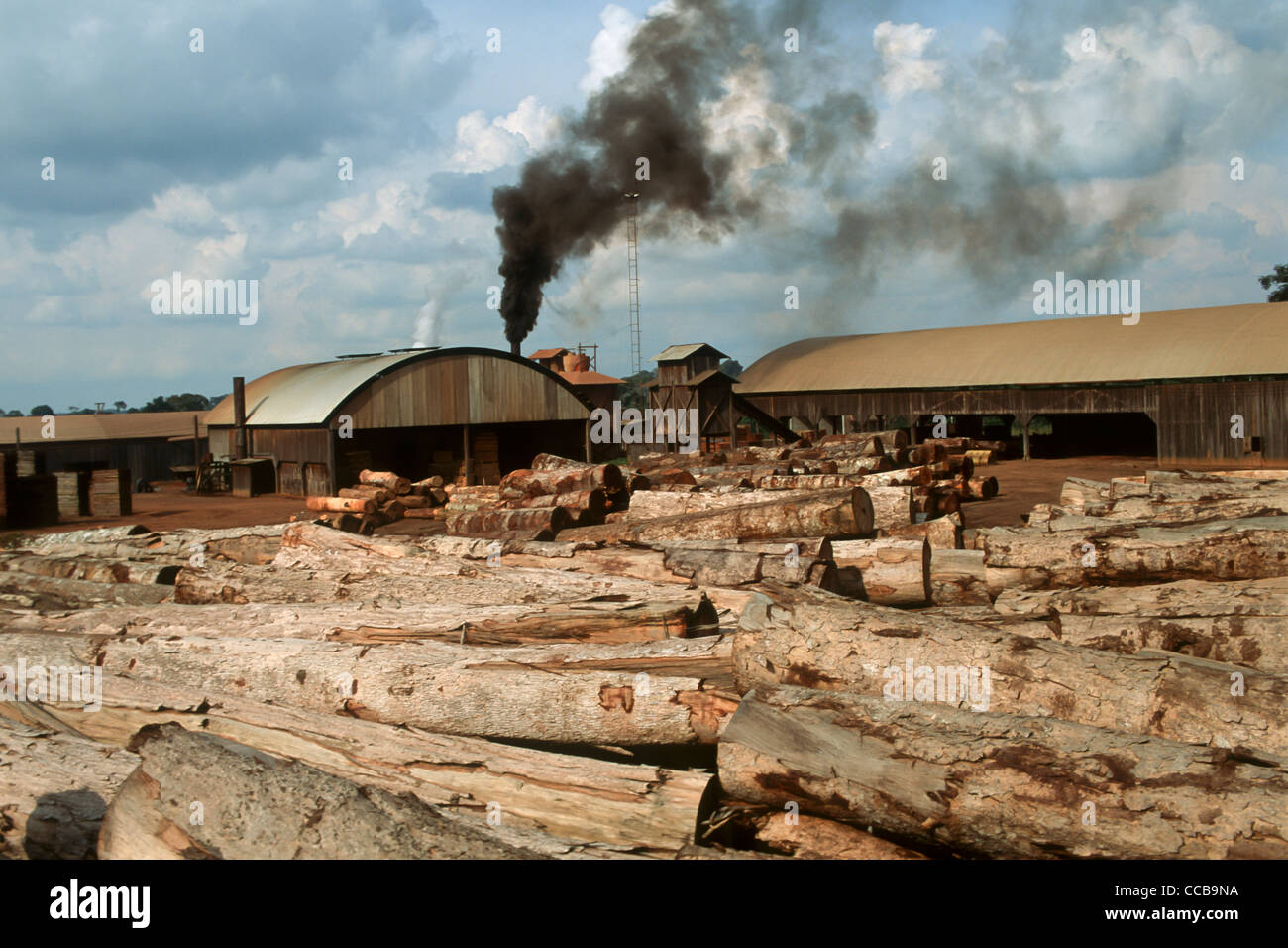 Juruena, Mato Grosso, Brazil. Industrial-sized sawmill timber yard full ...