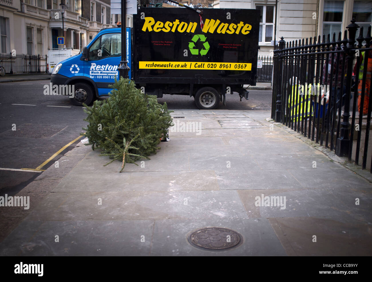 Discarded Christmas Tree on pavement with Reston Waste van parked ...