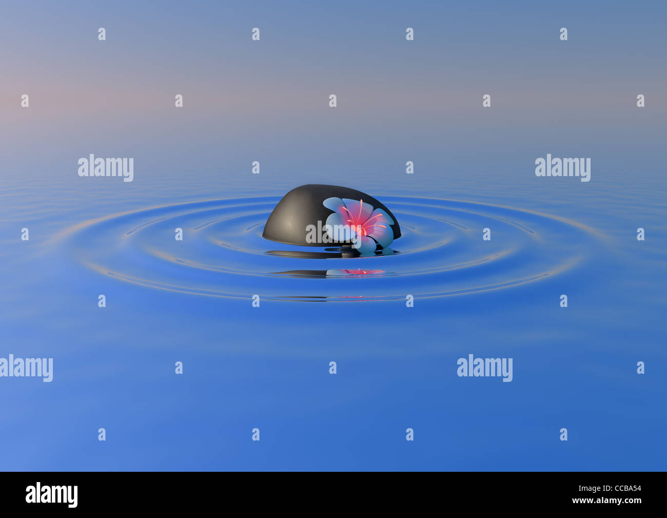 A calm scene showing a flower and stone floating on water Stock Photo ...