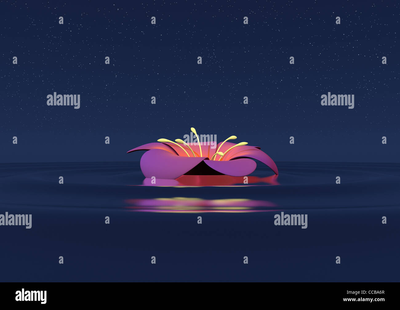 A calm scene of a flower floating on water Stock Photo - Alamy