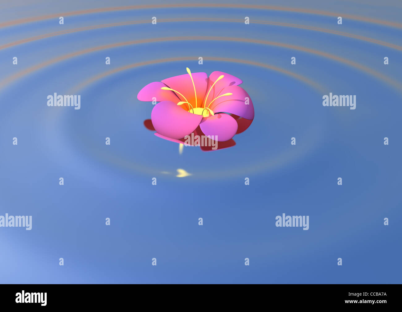 A calm scene of a flower floating on water Stock Photo - Alamy