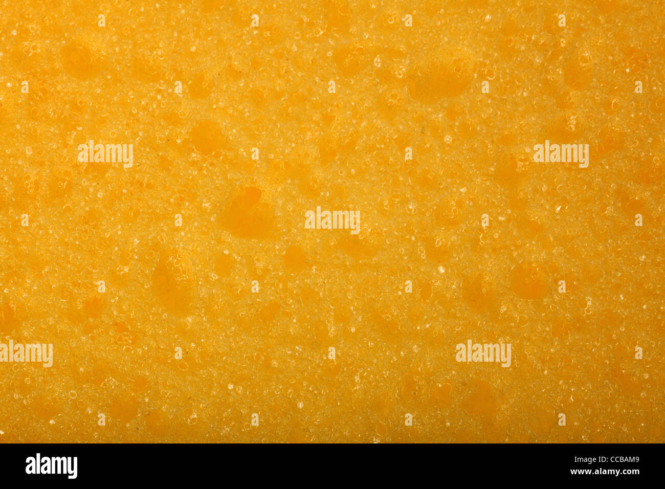 Yellow Sponge structure texture background Stock Photo - Alamy