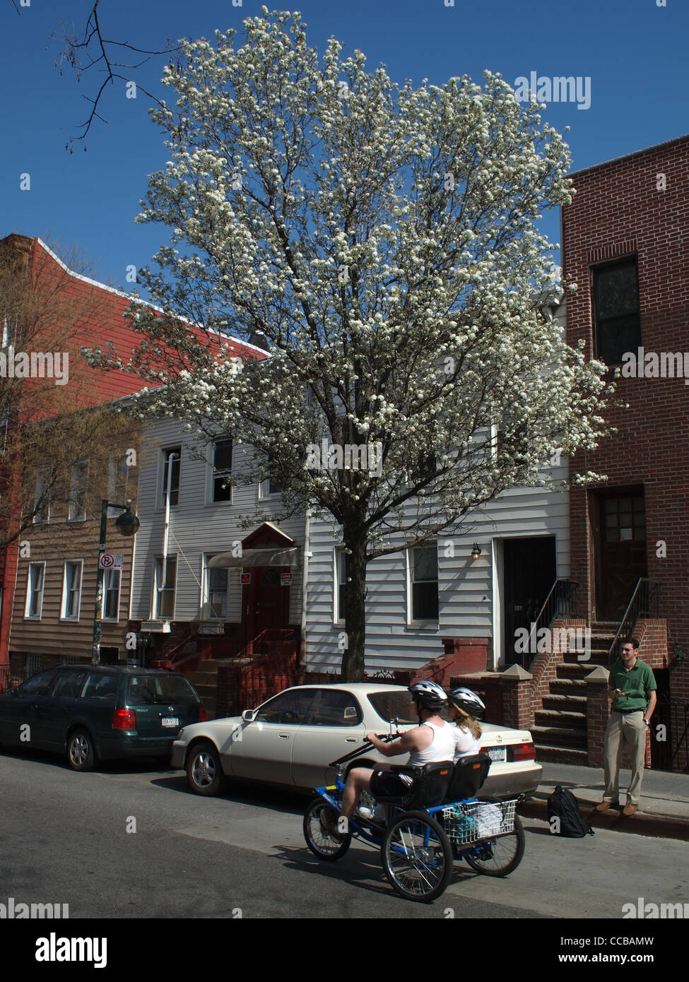 Spring flowers bloom in Brooklyn, New York, as couple rides a 3-wheeled ...