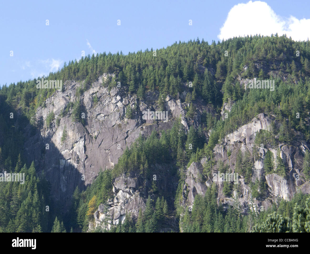 Popular climbers hi-res stock photography and images - Alamy