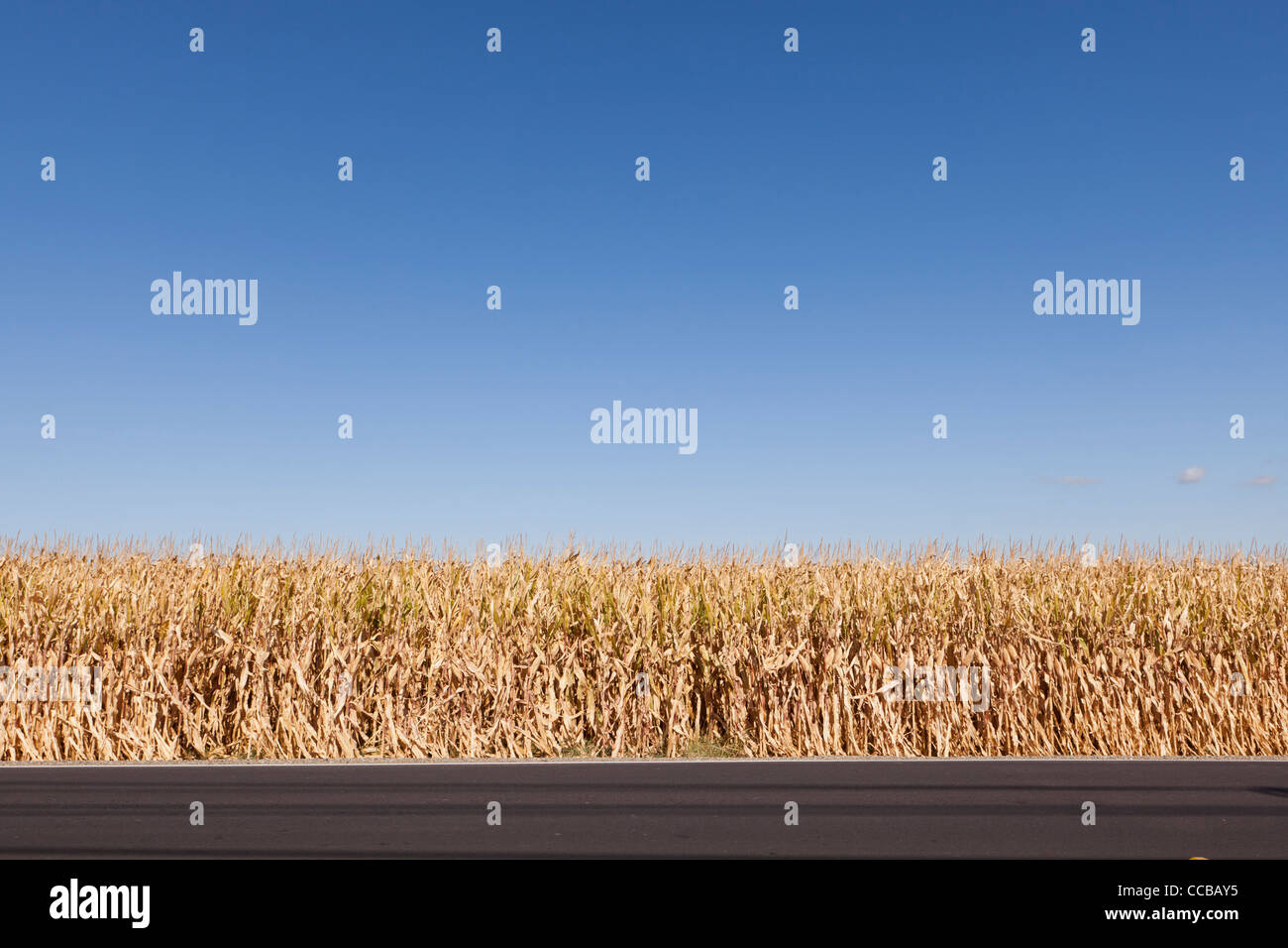 Open field edge hi-res stock photography and images - Alamy