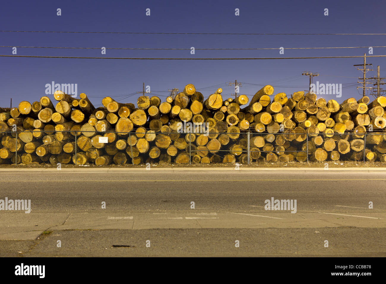Stacked tree logs Stock Photo - Alamy