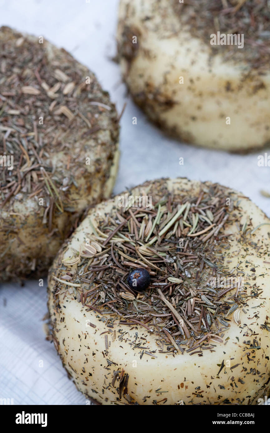 round cheese coated in rosemary Stock Photo - Alamy