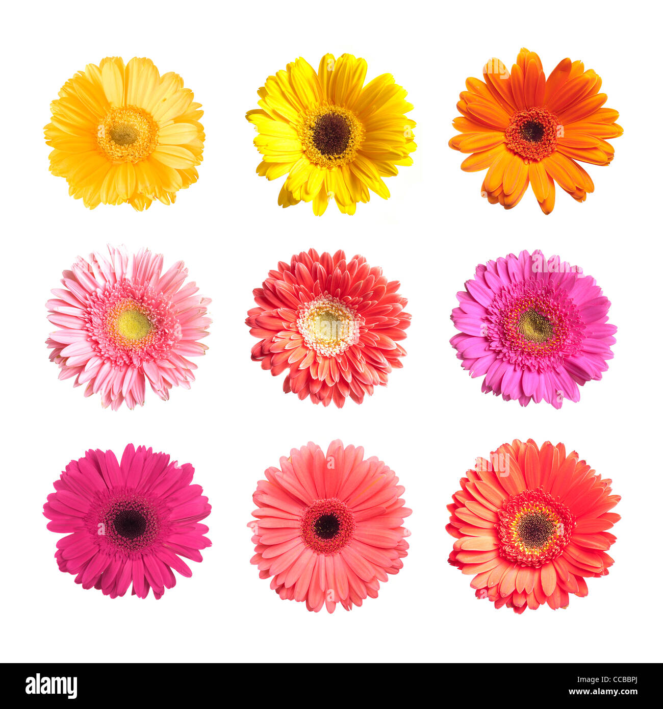 Square format square format Cut Out Stock Images & Pictures - Alamy