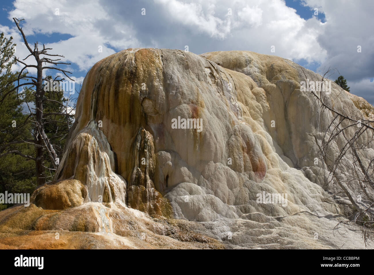 Yellowstone mud volcanoes hi-res stock photography and images - Alamy