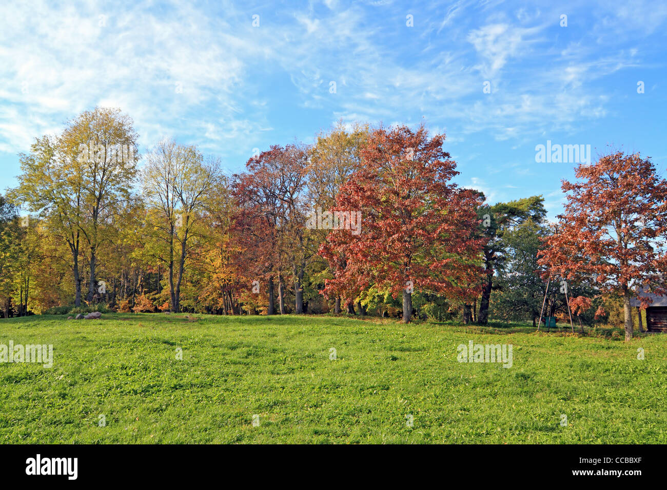 wooden buildings amongst autumn tree Stock Photo - Alamy