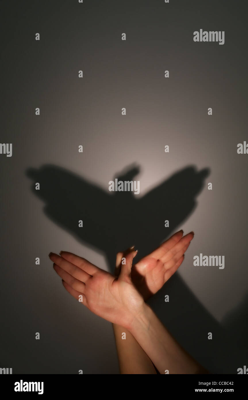 Hands shadow bird hi-res stock photography and images - Alamy