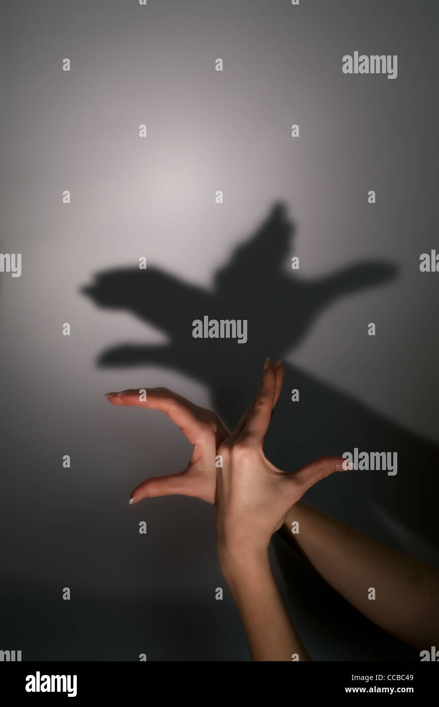 Bird shadow with hands hi-res stock photography and images - Alamy