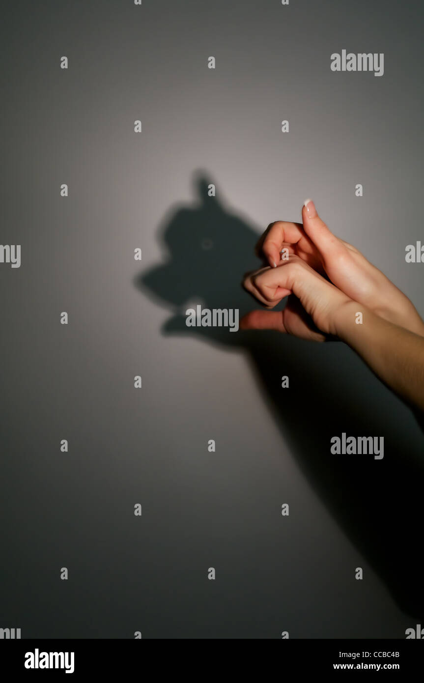 Pig shadows hi-res stock photography and images - Alamy