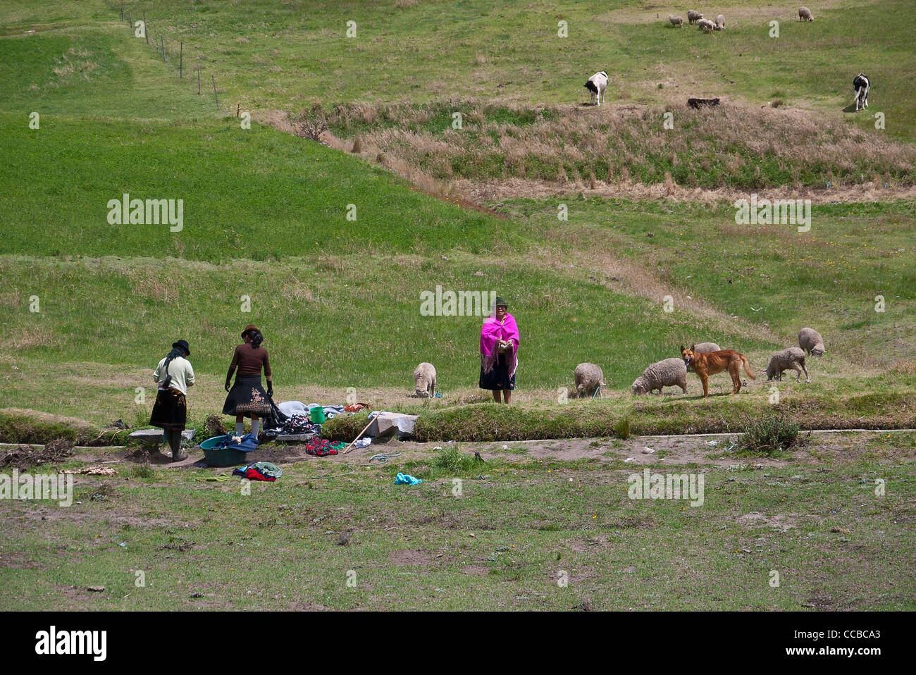 Three Andean Indian women wash clothes in a creek the old fashioned way ...