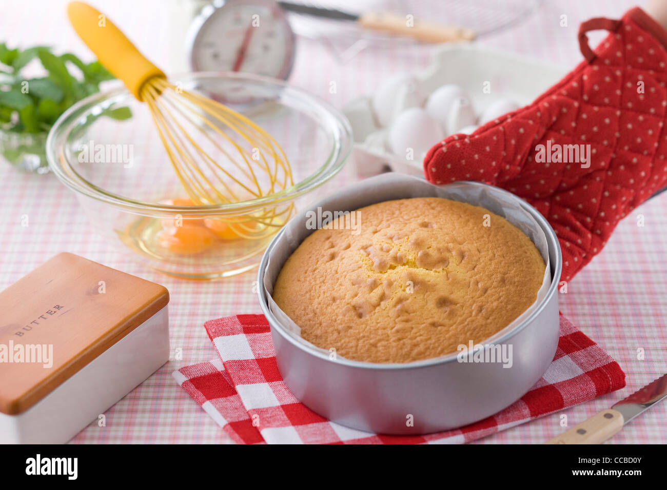 Human Hand Holding Sponge Cake in Mold Stock Photo - Alamy