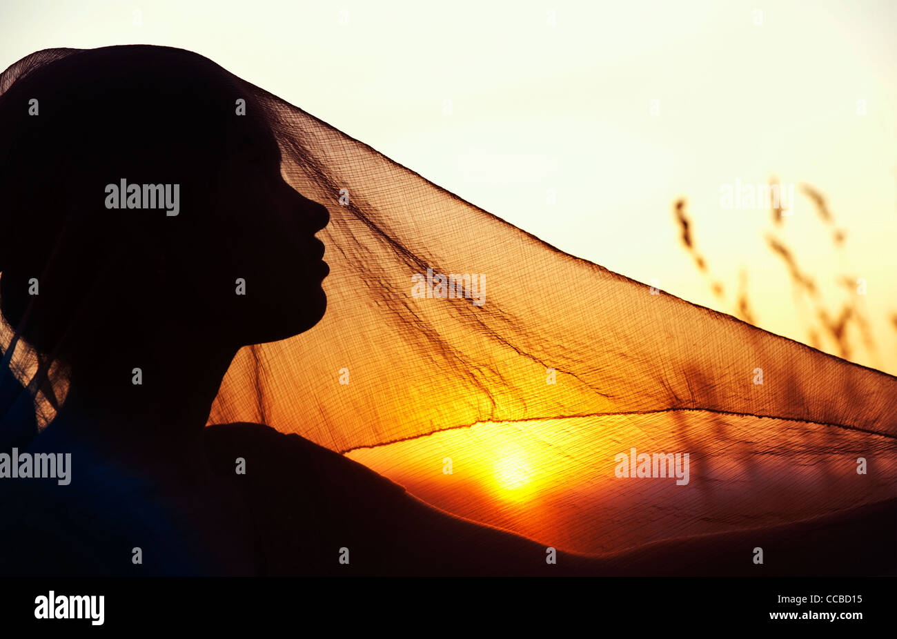 Indian girl wearing shawl hi-res stock photography and images - Alamy