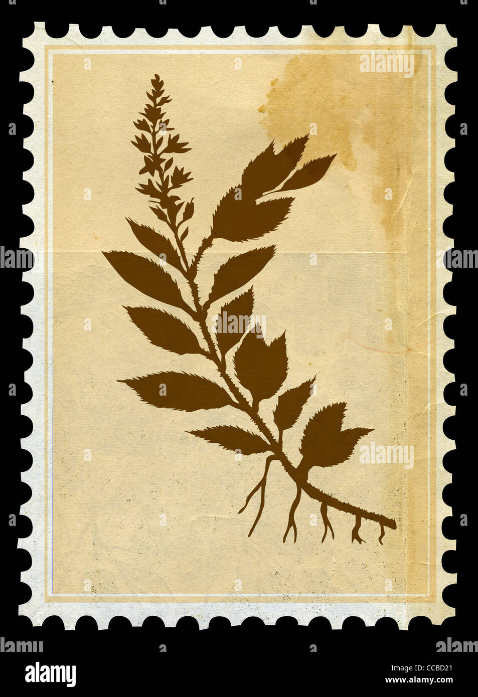 aging postage stamps on black background Stock Photo - Alamy