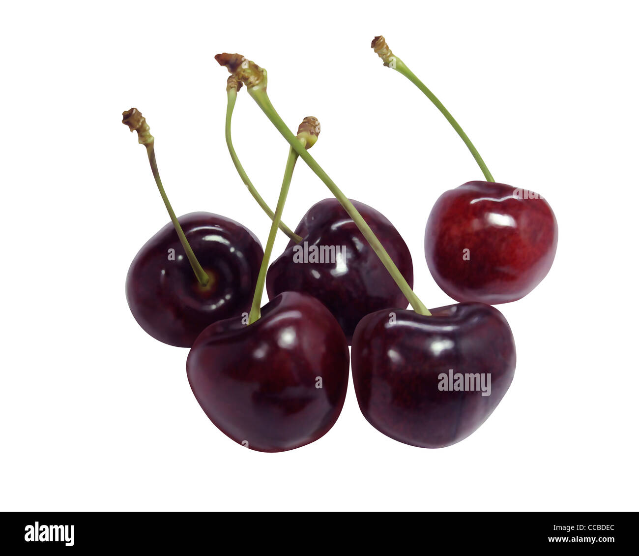 Bing bing Cut Out Stock Images & Pictures - Alamy