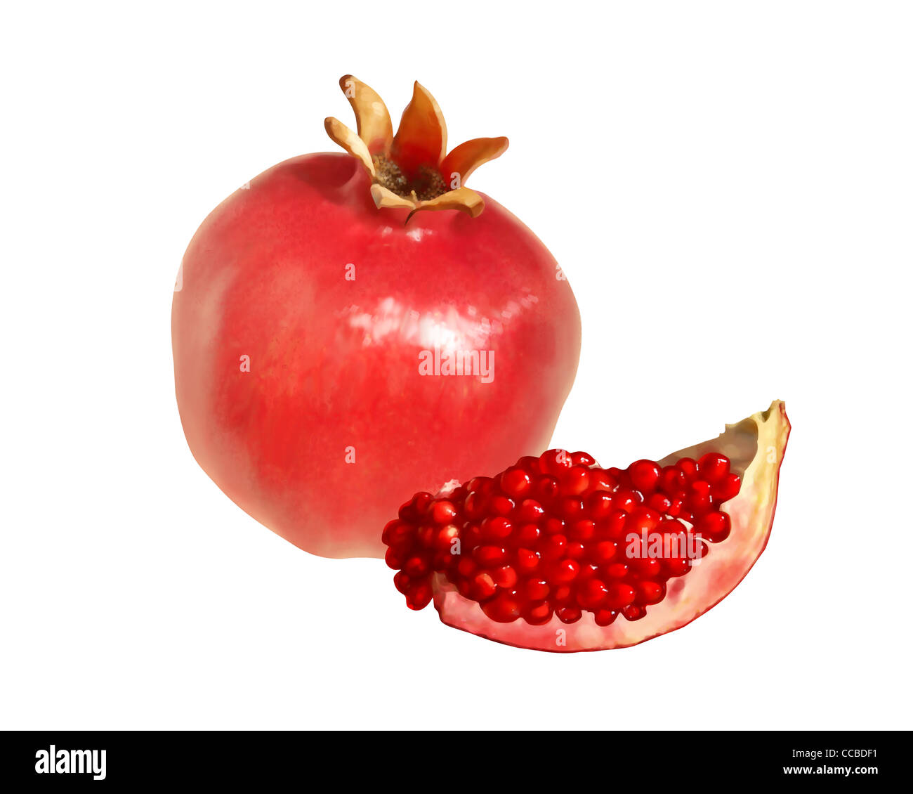 Quadrisected hi-res stock photography and images - Alamy