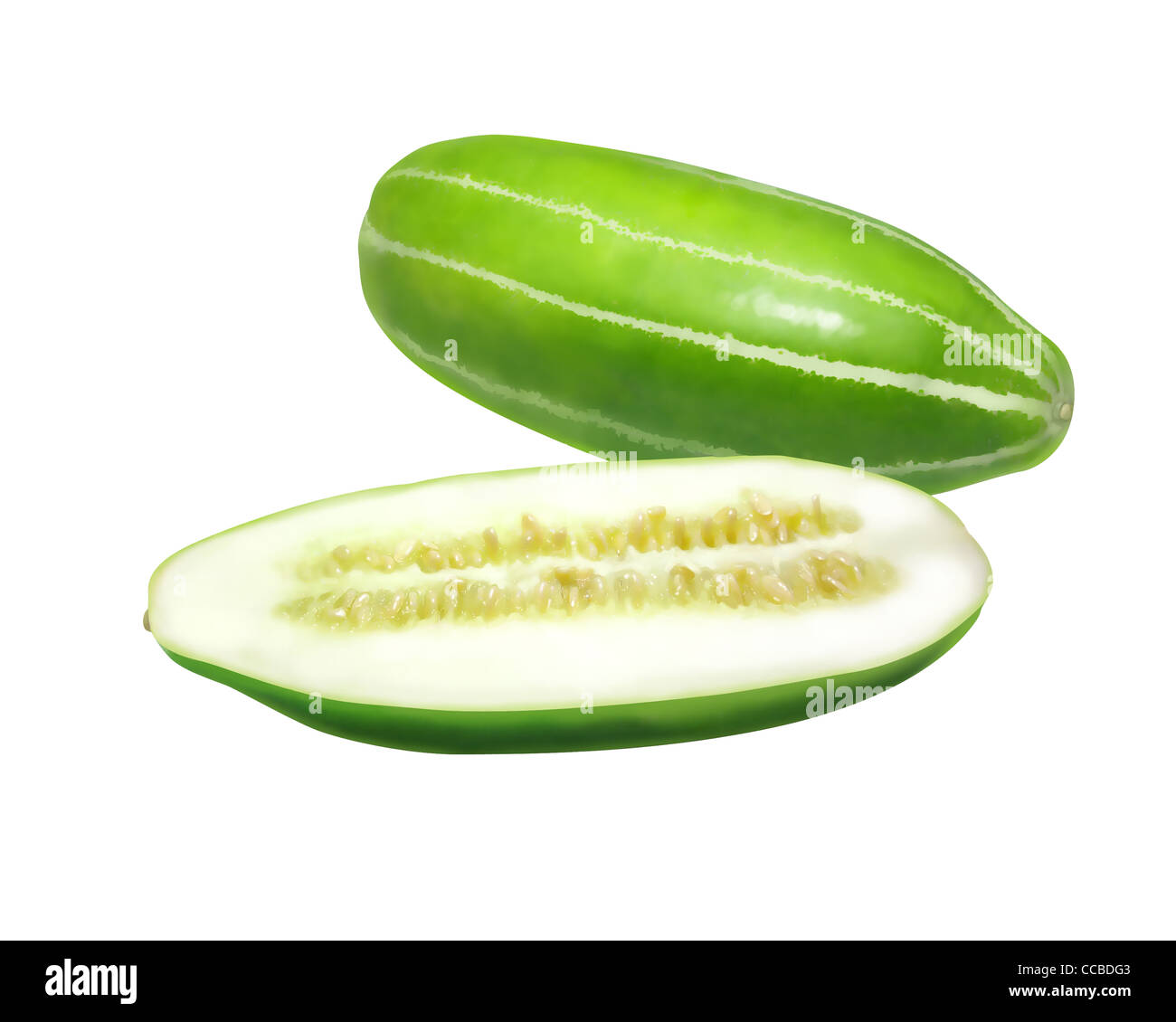 Pickling melon Cut Out Stock Images & Pictures - Alamy