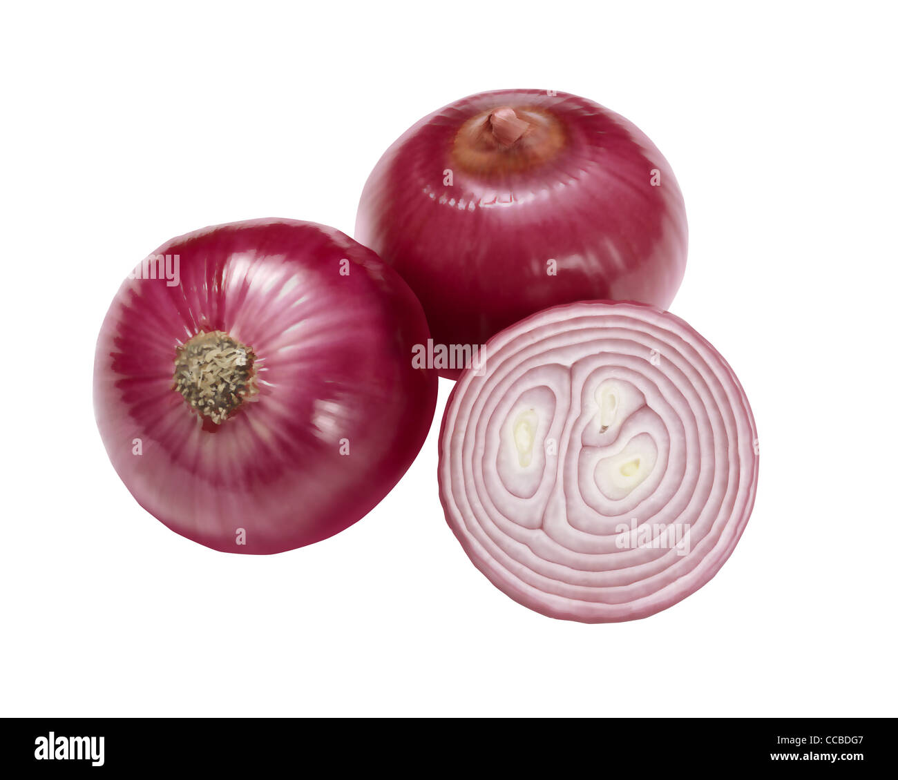 Cross section onion Cut Out Stock Images & Pictures - Alamy