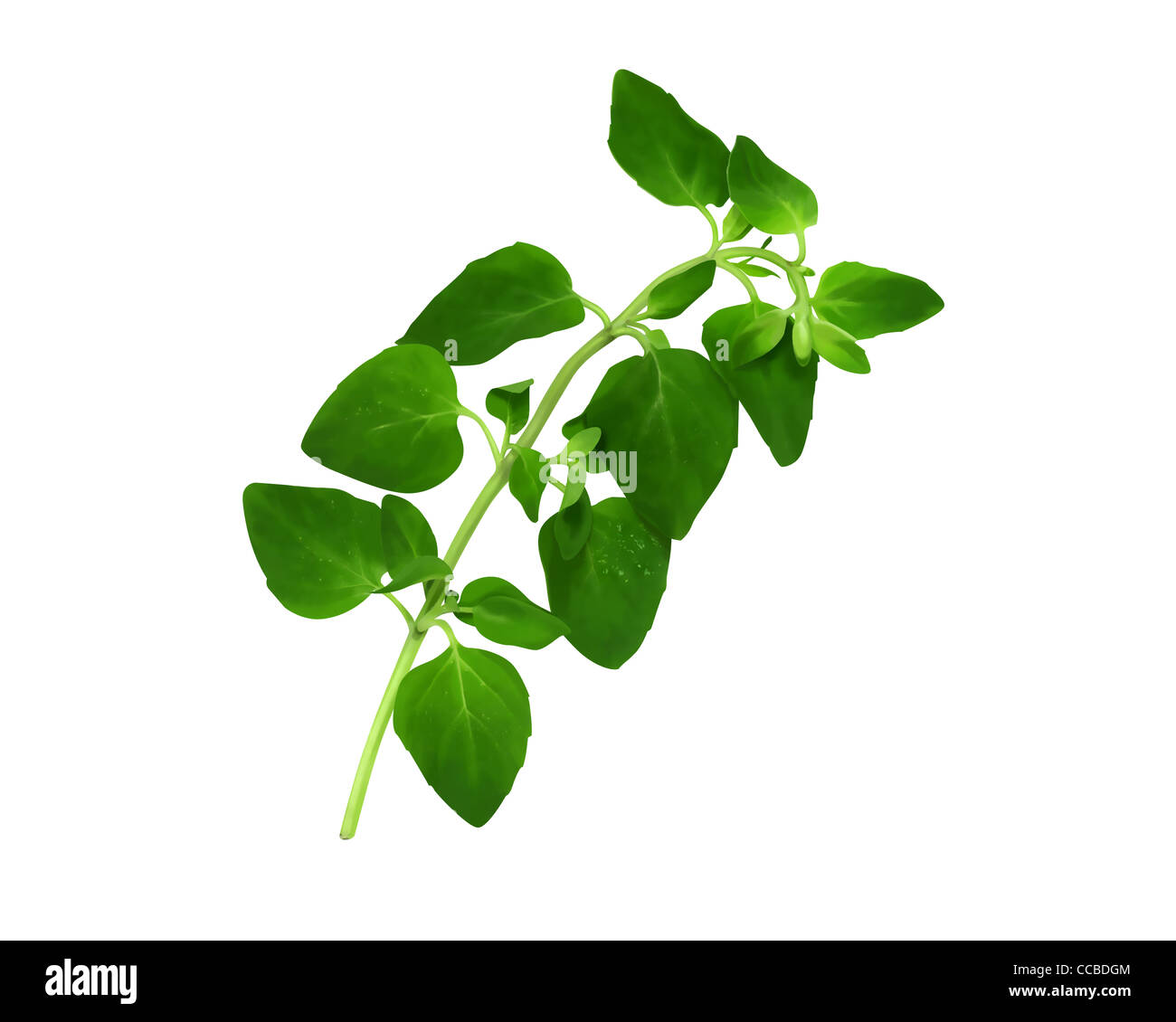 Super realistic hi-res stock photography and images - Alamy