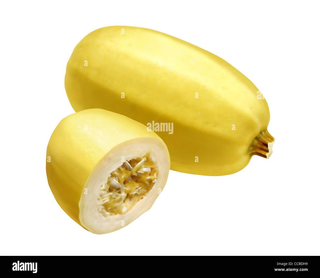 Squash illustration Cut Out Stock Images & Pictures - Alamy