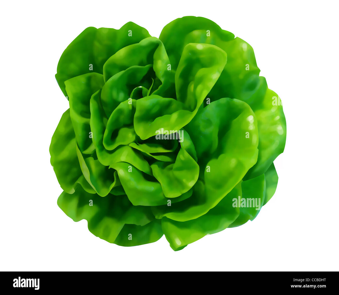 Food boston Cut Out Stock Images & Pictures - Alamy