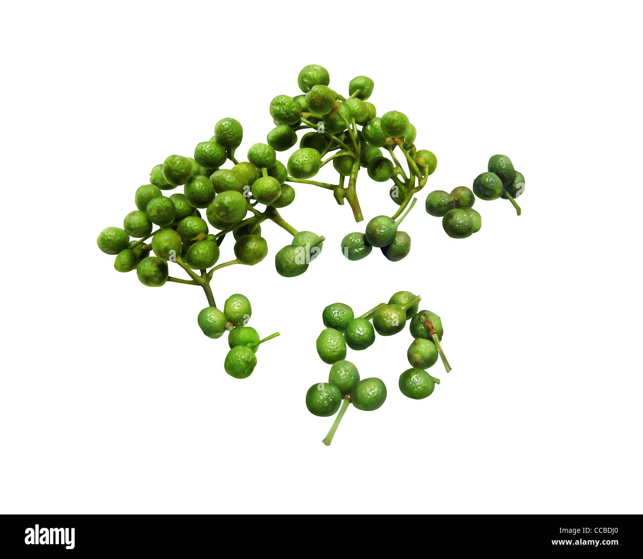 Japanese sansho pepper hi-res stock photography and images - Alamy