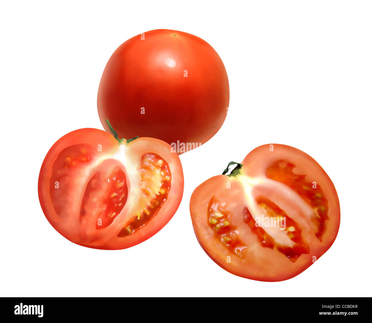 Tomato illustration Cut Out Stock Images & Pictures - Alamy