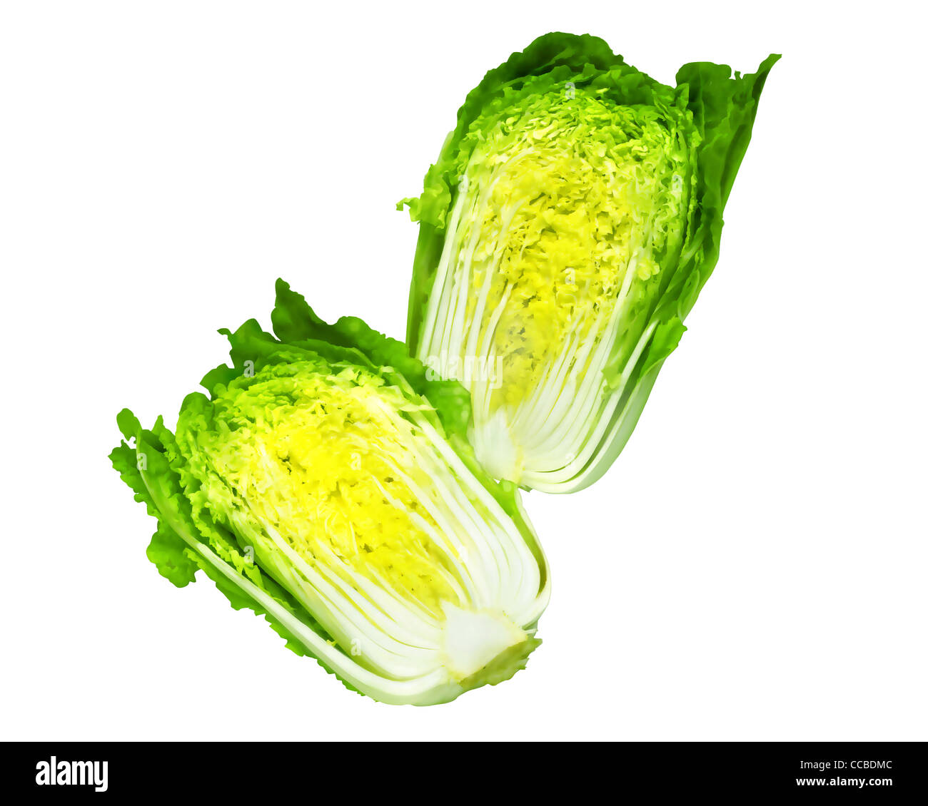 Realistic cabbage hi-res stock photography and images - Alamy