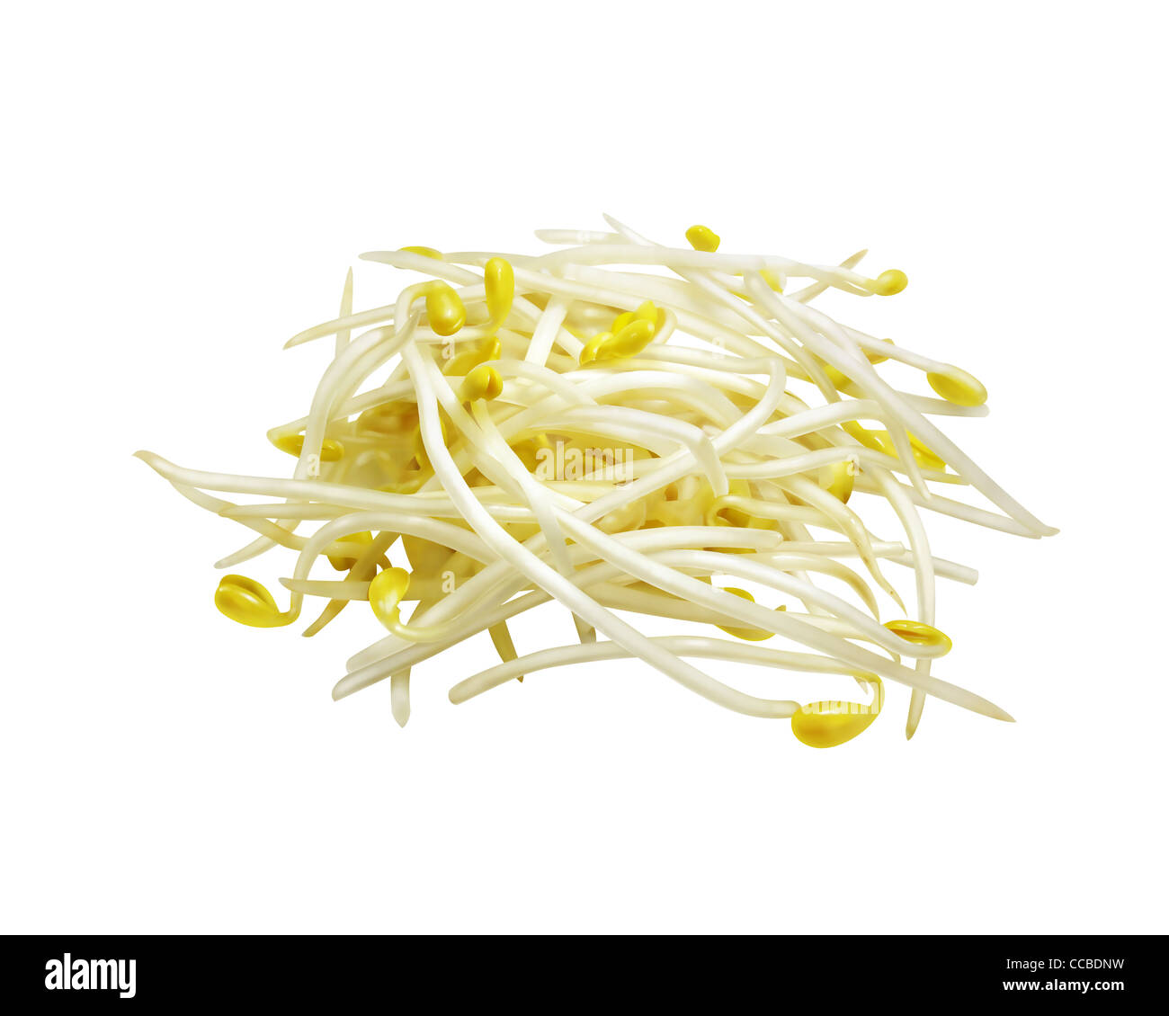 Large bean sprout hi-res stock photography and images - Alamy