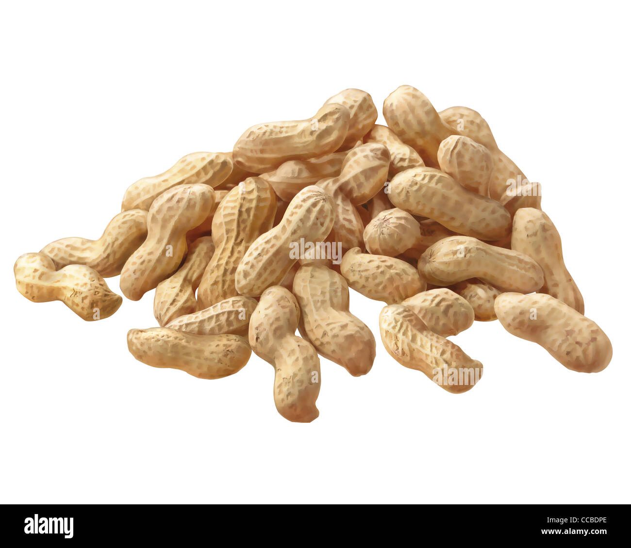 Peanut illustration hi-res stock photography and images - Alamy