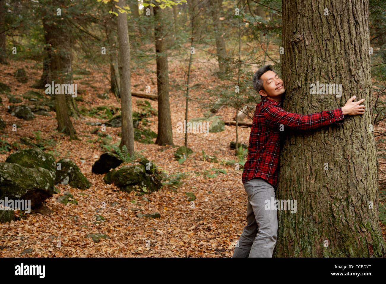 man hugging tree smiling Stock Photo - Alamy