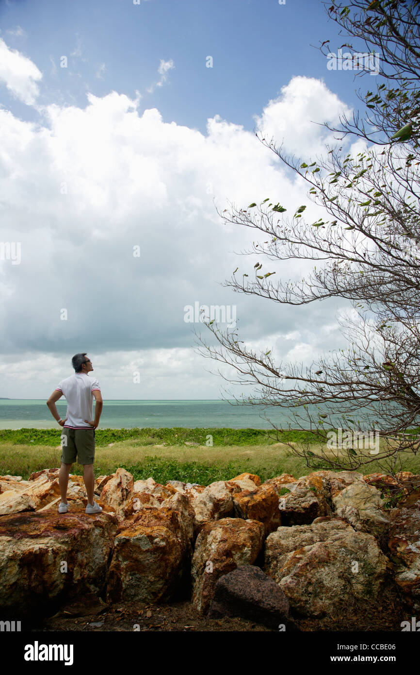 back view of man looking at sky Stock Photo - Alamy