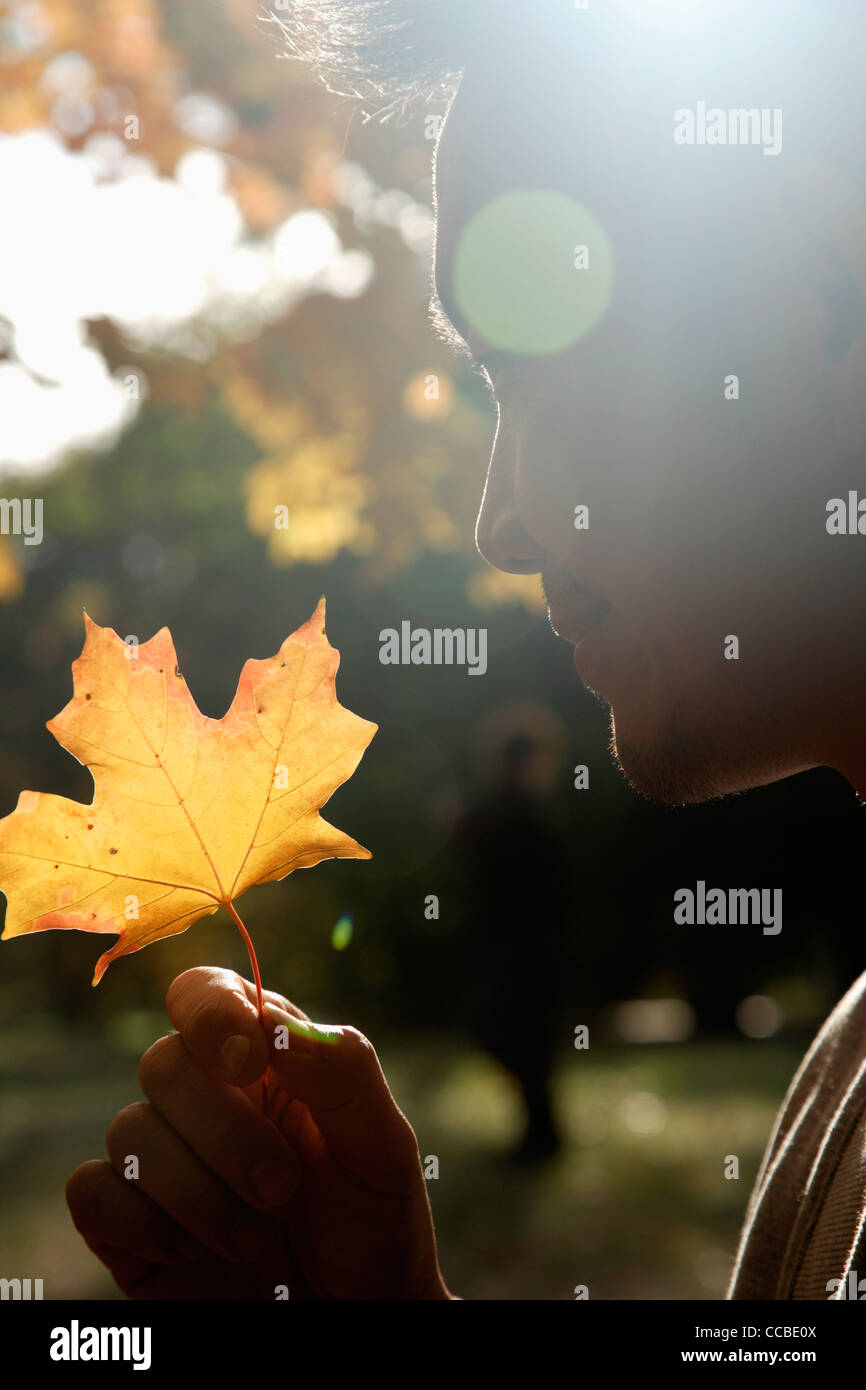 Profile leaf hi-res stock photography and images - Alamy