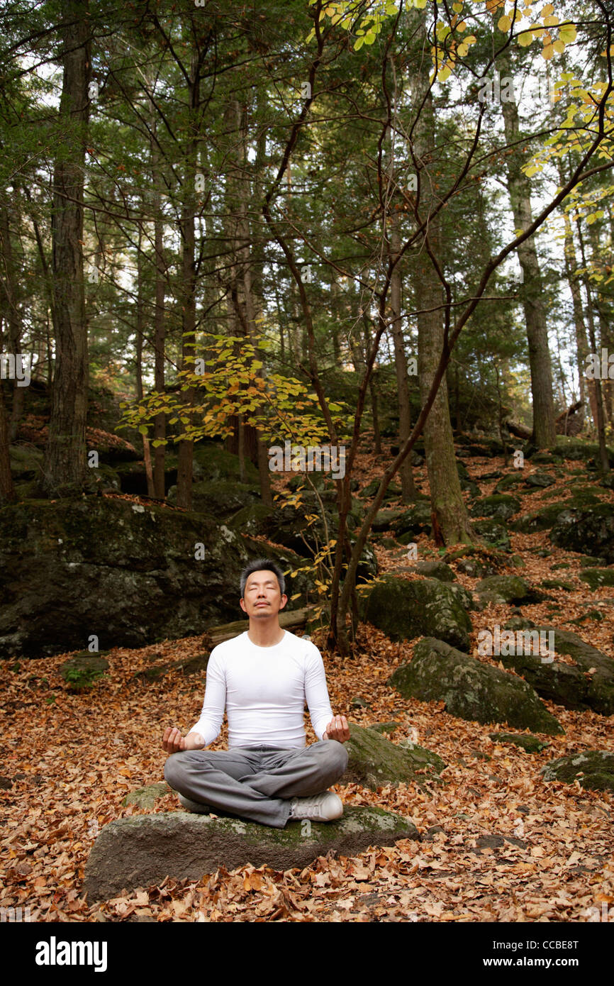 man sitting in forest meditating Stock Photo - Alamy