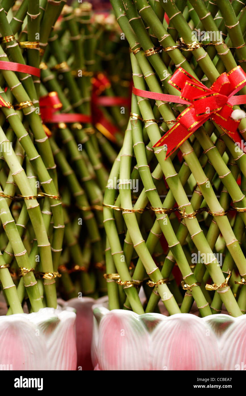 bamboo tied with red ribbon Stock Photo - Alamy