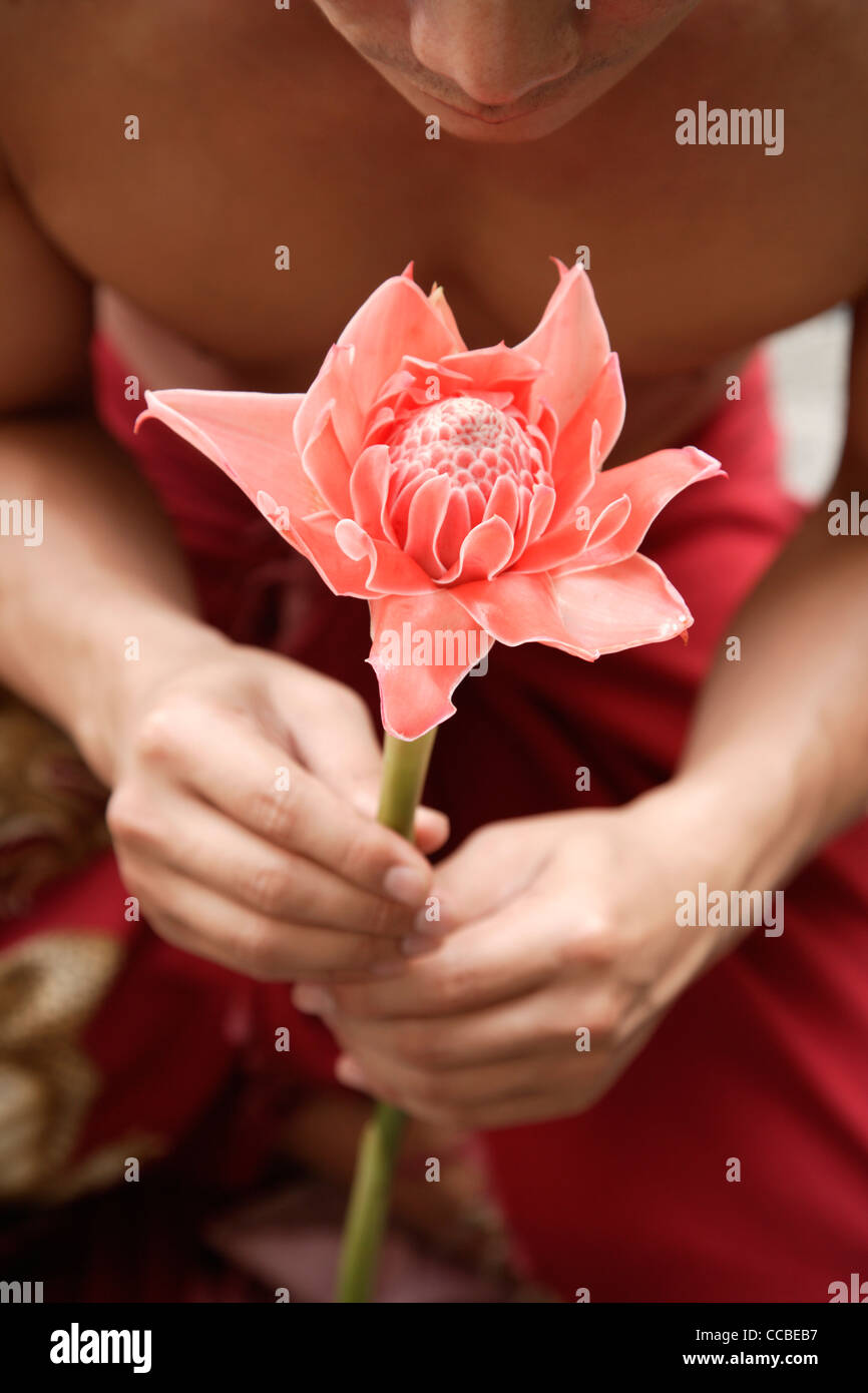 cropped shot of man holding pink lotus Stock Photo - Alamy