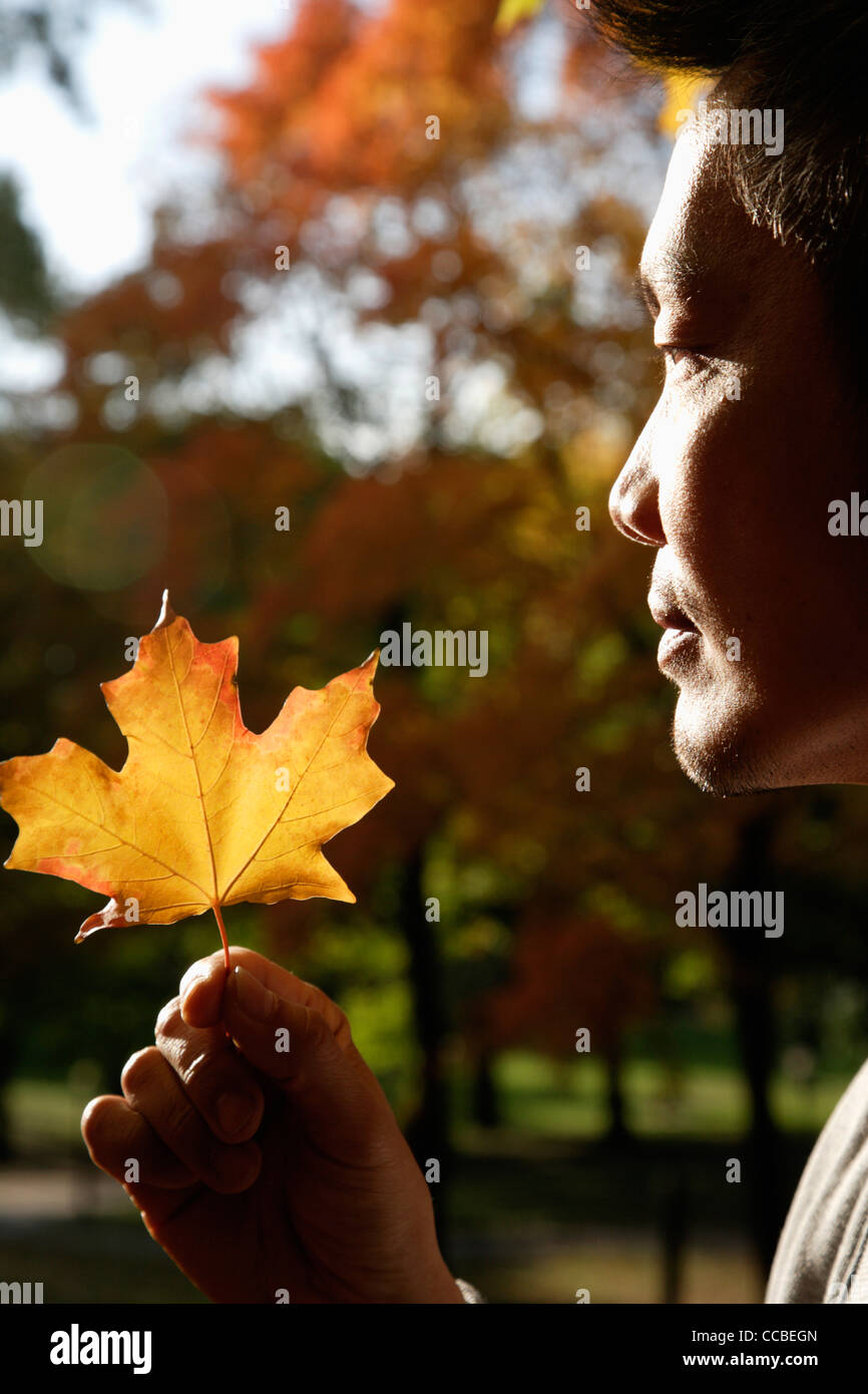 Profile leaf hi-res stock photography and images - Alamy