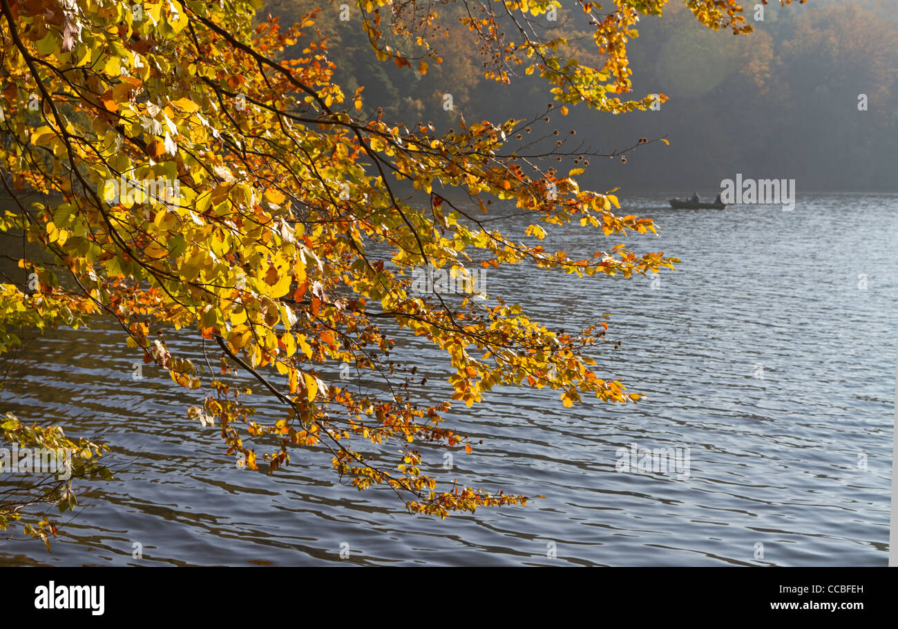 Autumn water hi-res stock photography and images - Alamy