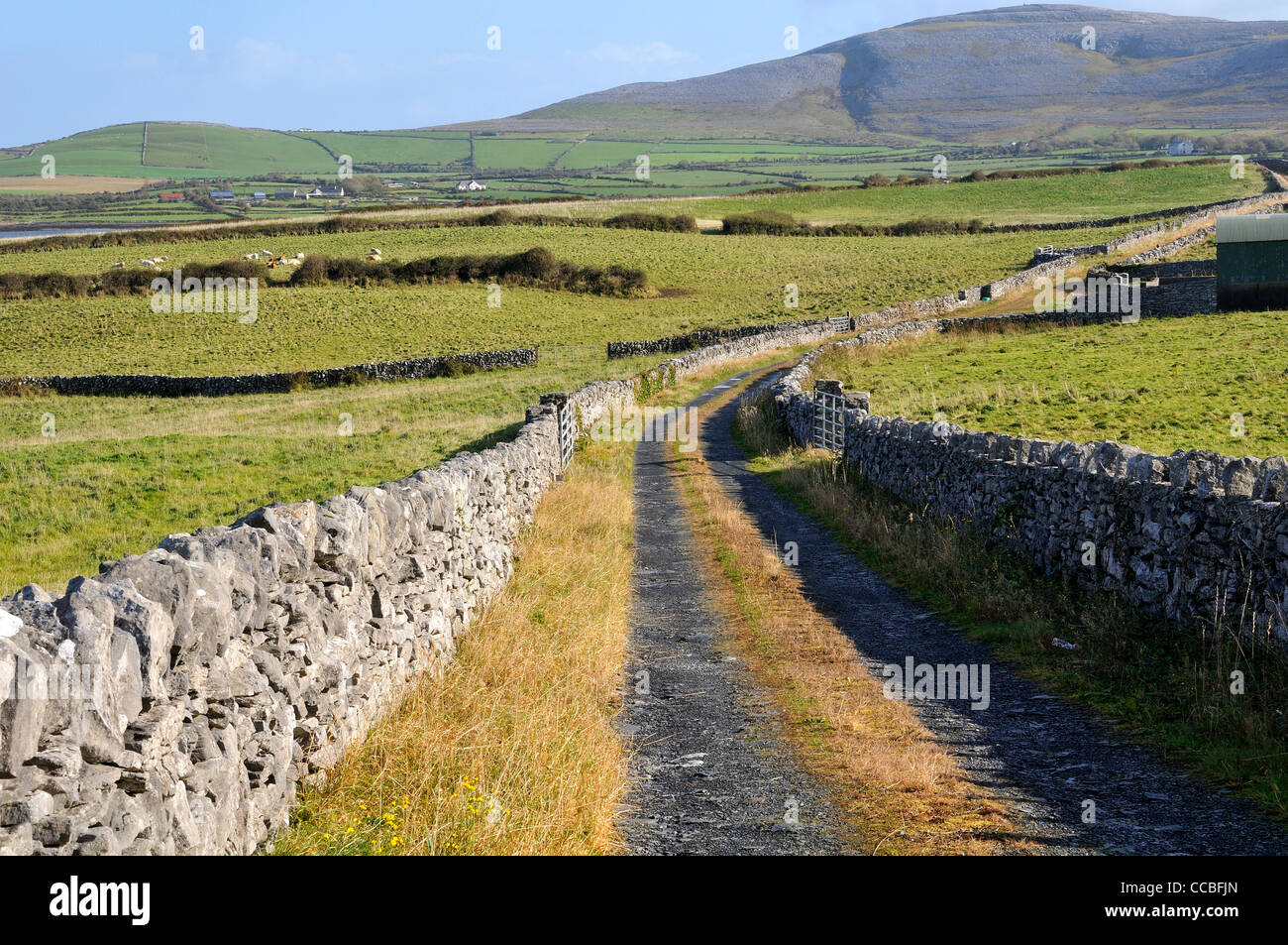 Burren county down northern ireland hi-res stock photography and images ...