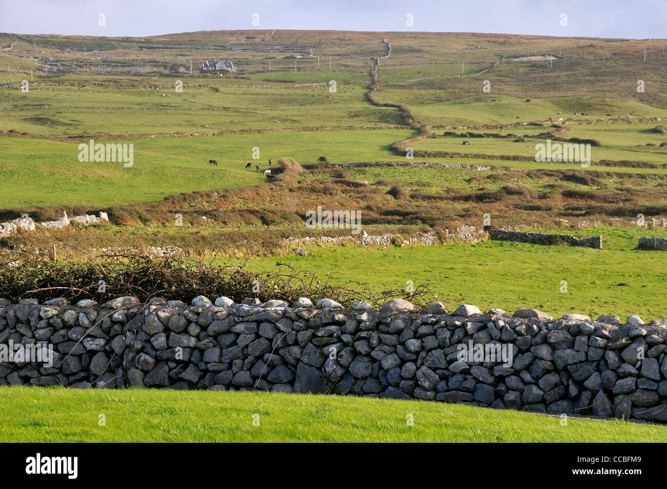 Burren county down northern ireland hi-res stock photography and images ...