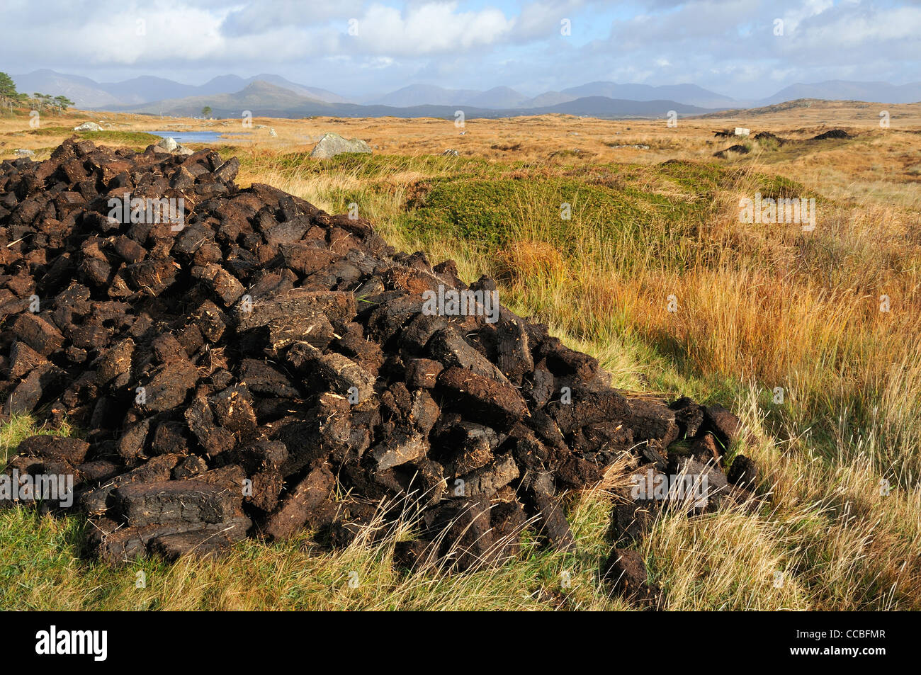 Drying of peat, Connemara, County Galway, Connacht, Republic of Ireland ...