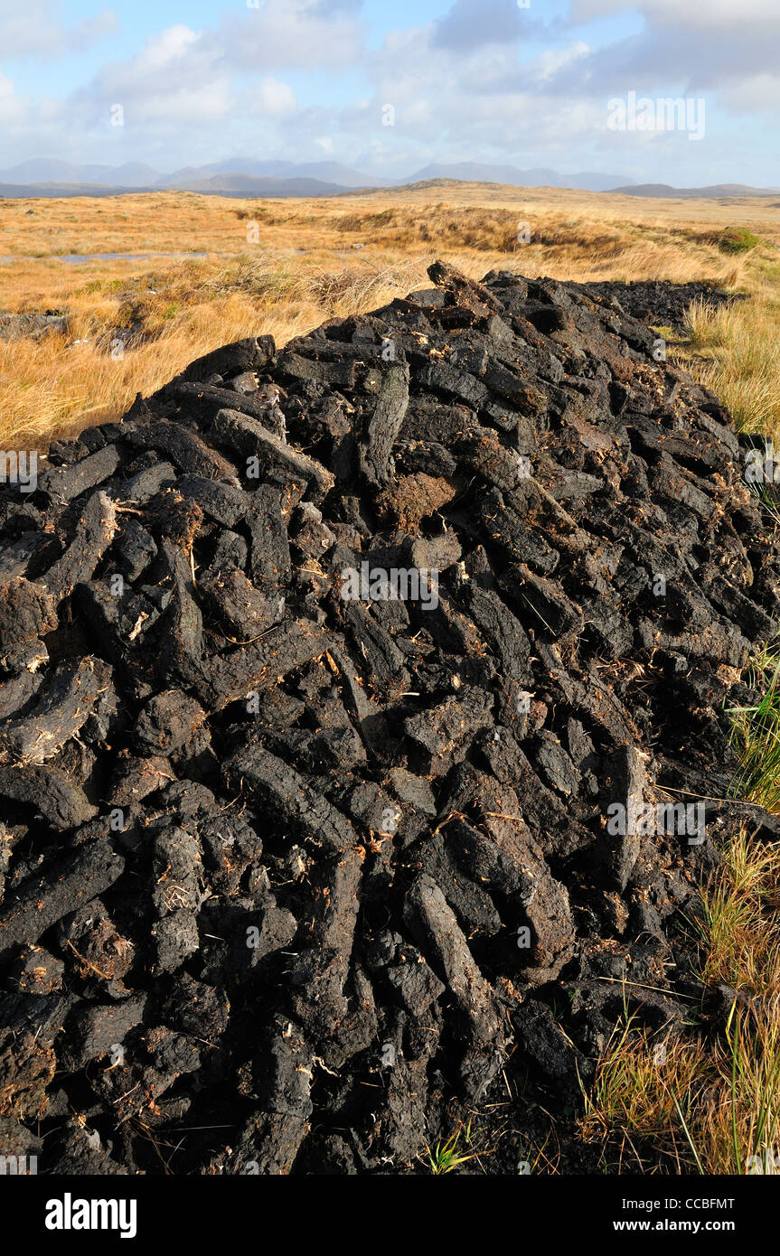 Drying of peat, Connemara, County Galway, Connacht, Republic of Ireland ...