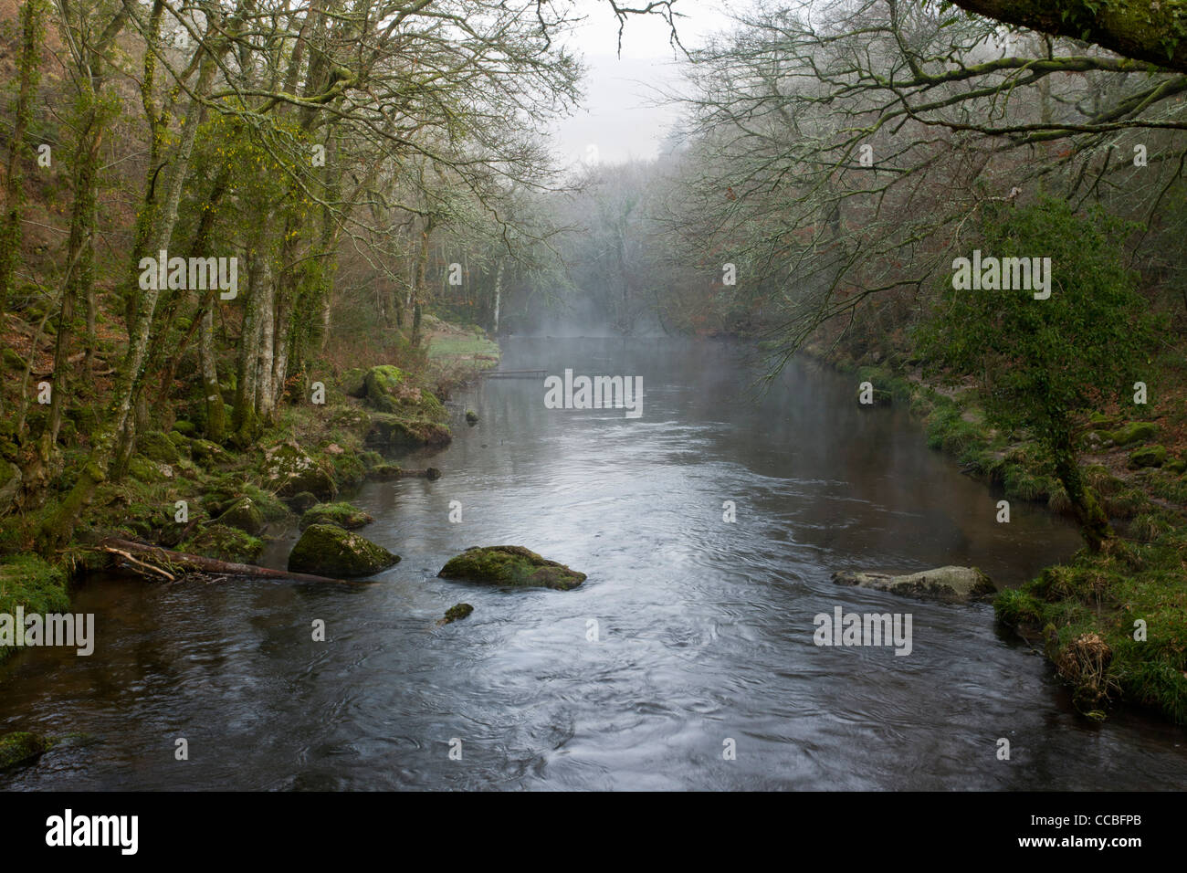 Teign valley hi-res stock photography and images - Alamy