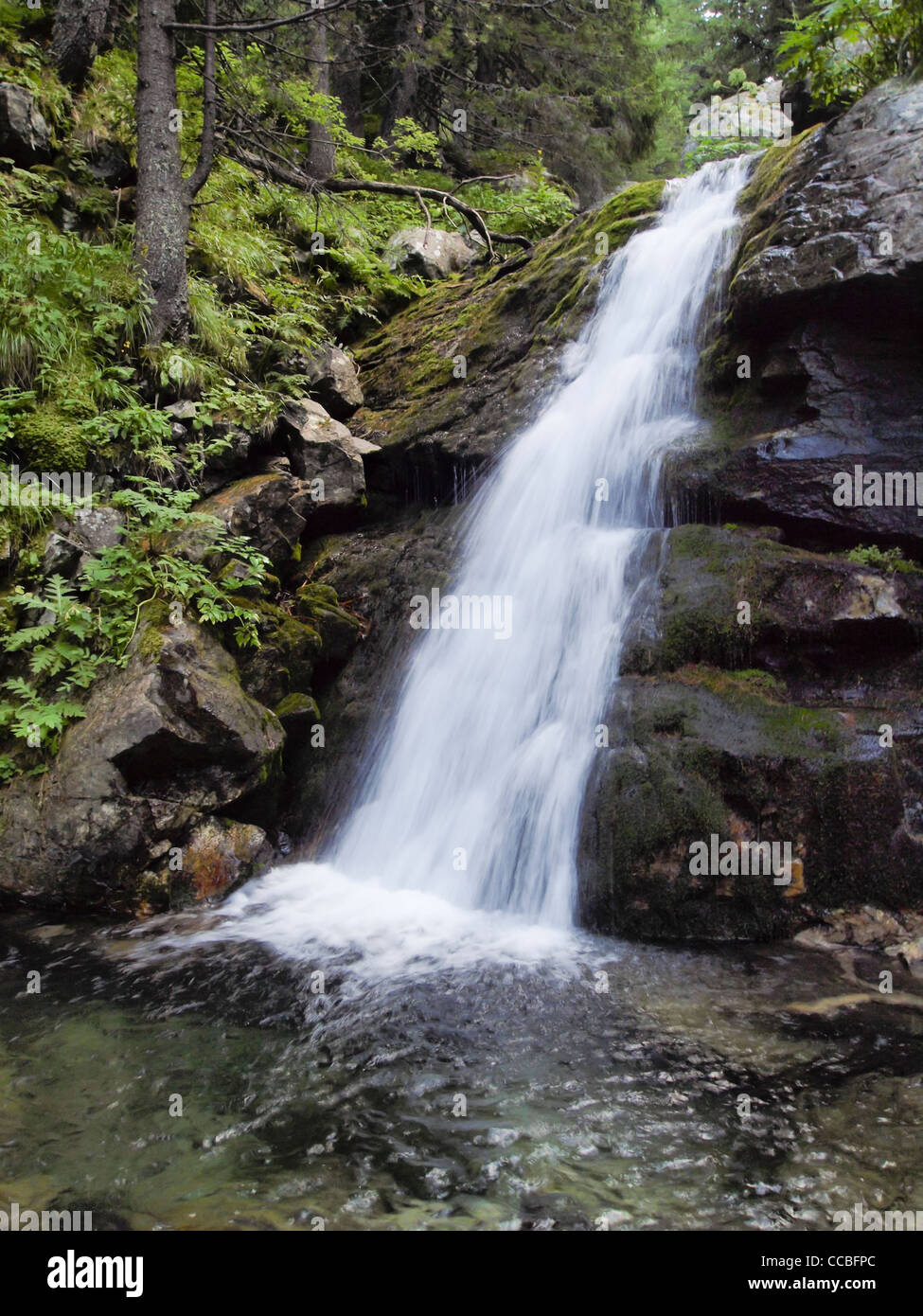 Waterfall flowing over a rock in the pristine forest of Rila National ...